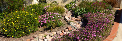 Is the Urban Prairie Garden Method Right for you? – Plants For All Seasons