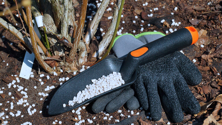 How to Fertilize Trees and Shrubs – Plants for All Seasons | Since 1973