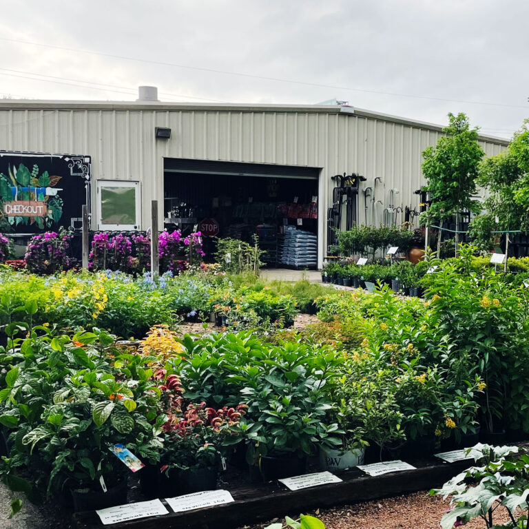 Services – Plants For All Seasons